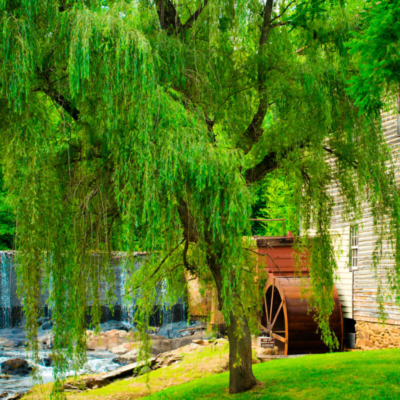 Home - Amherst County Chamber of Commerce